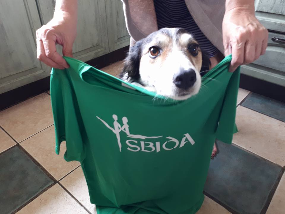 IDA Merchandise – Irish Dancing for Adults